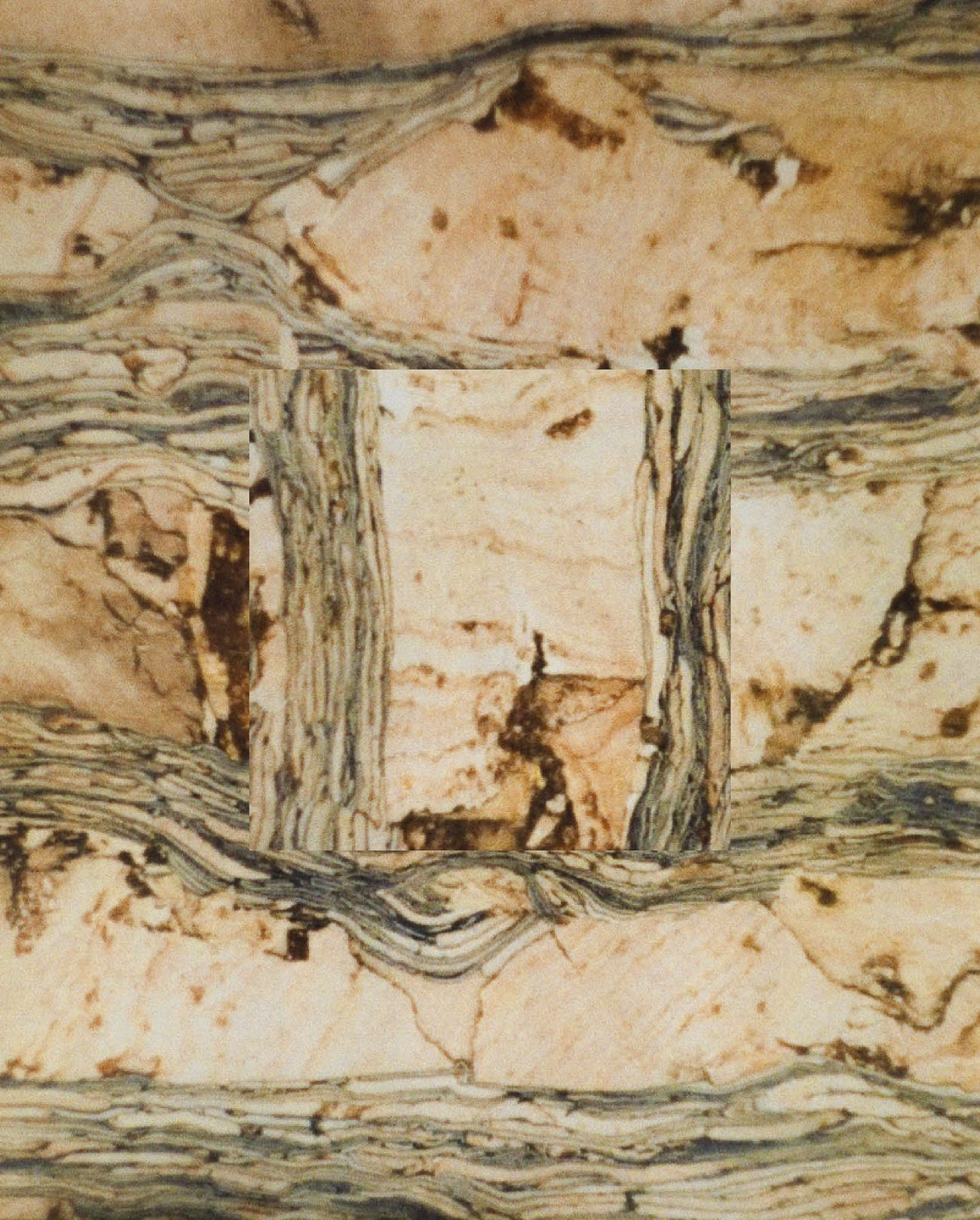 THE MATERIAL LOOKOUT: Leather Alternatives