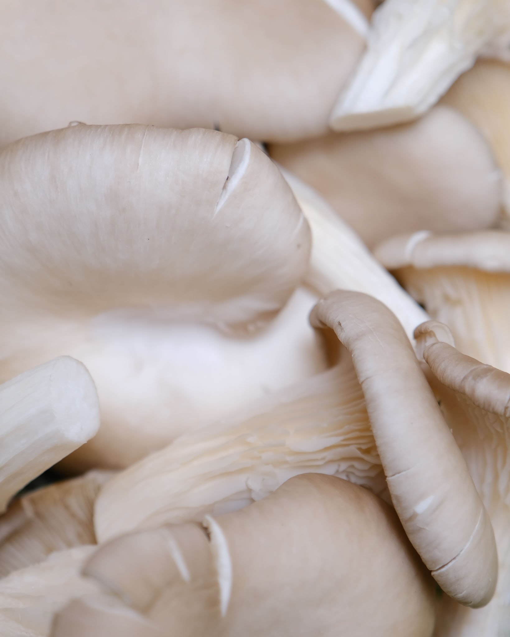 THE MATERIAL LOOKOUT: Remining